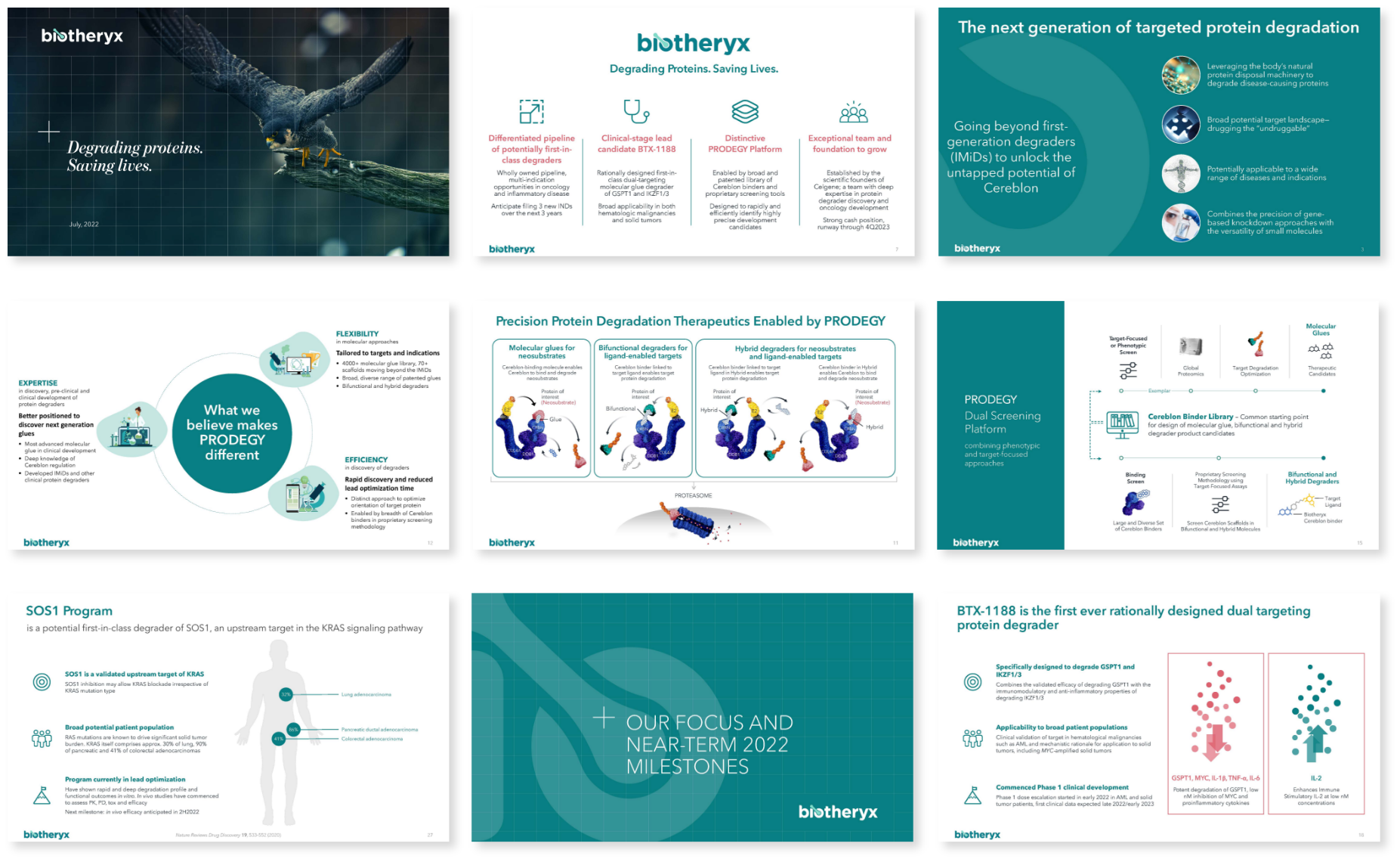 Practice Areas – Argot Partners